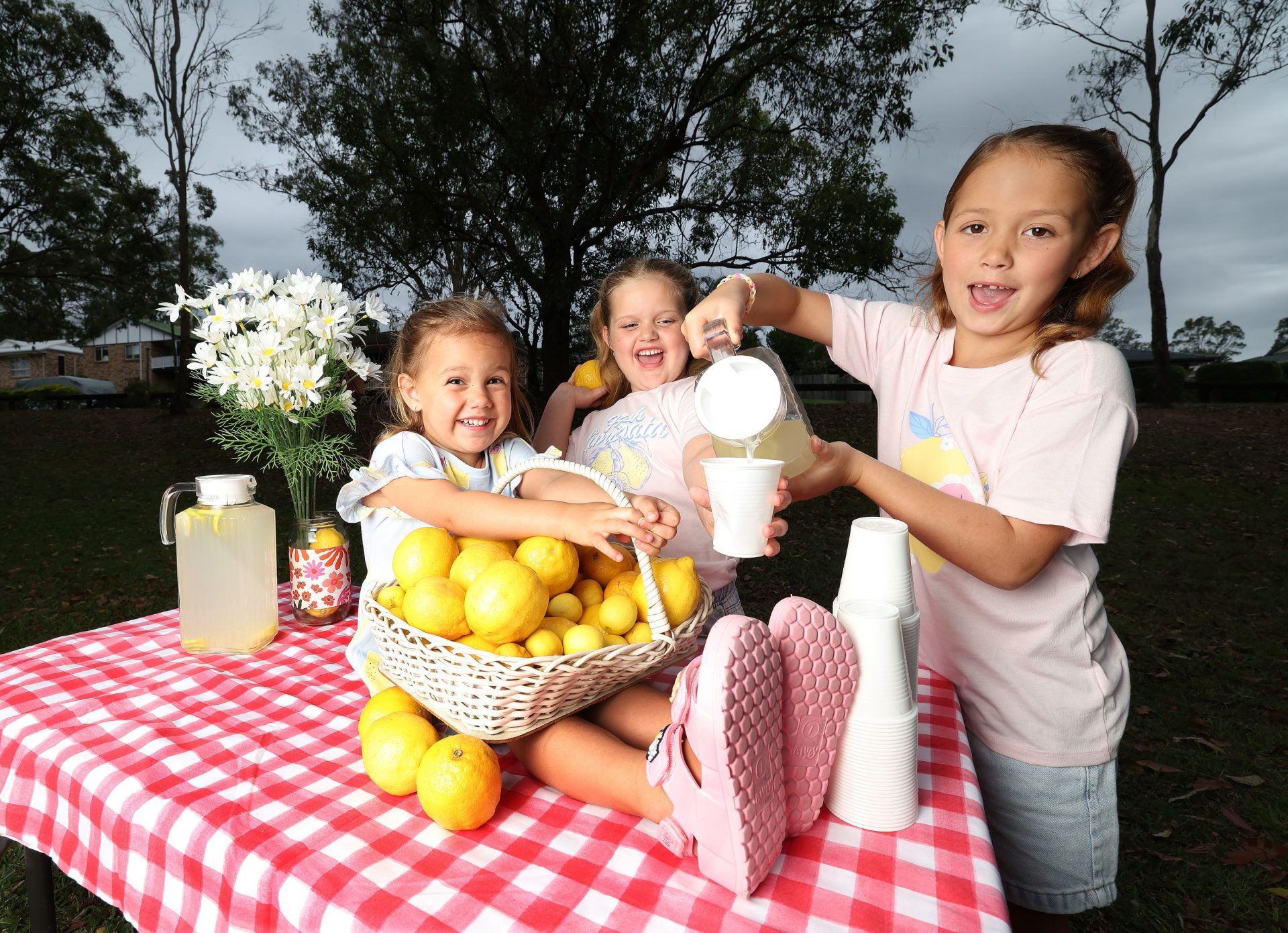 Lemonade kids make a stand against cancer - Redland Bayside News